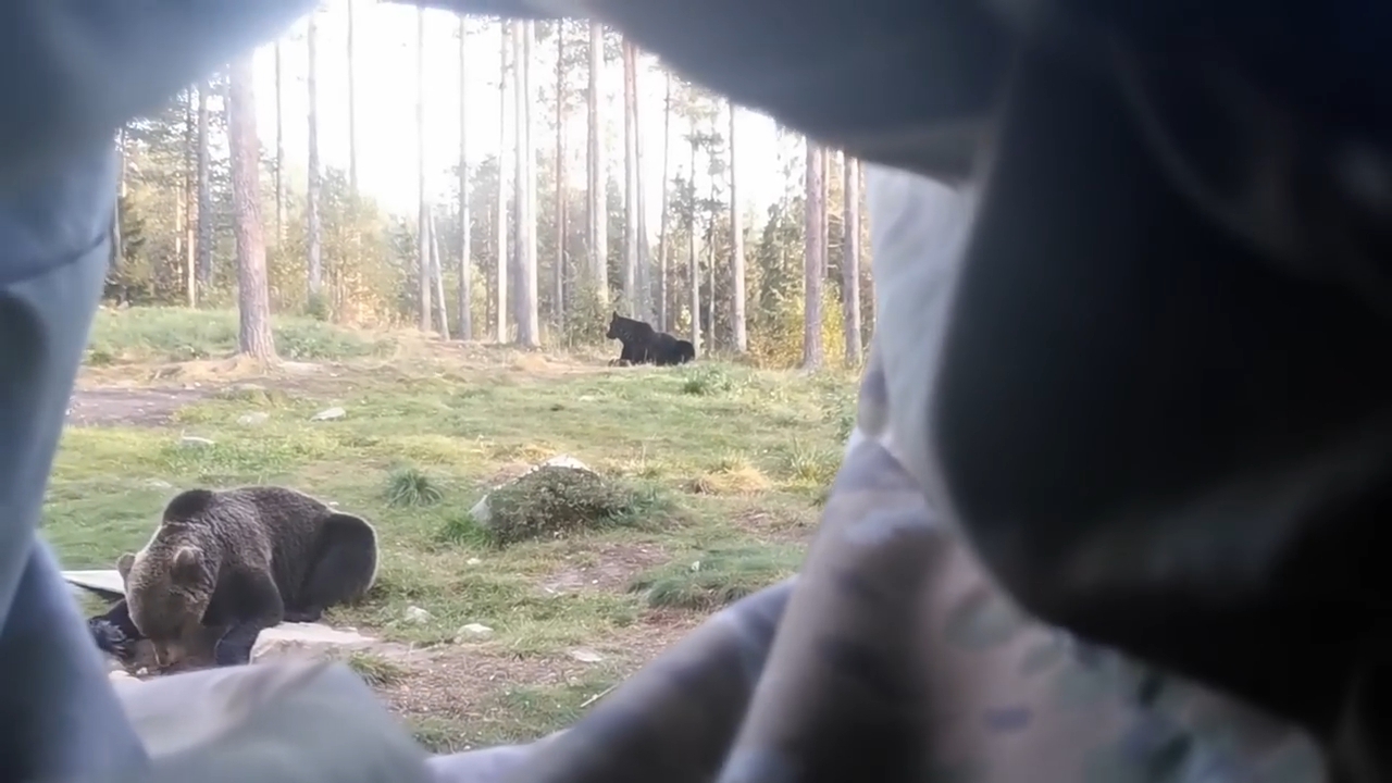 Это совсем не смешно и очень Больно 🙀🫶🤯