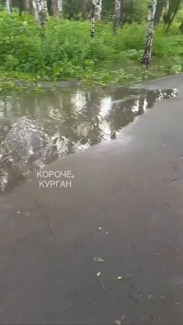 ЦПКиО не сдает своих позиций Курган