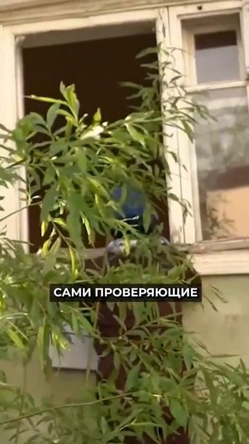 📍Рейд по расселённым аварийным домам провели депутаты и профильные специалисты Салехарда