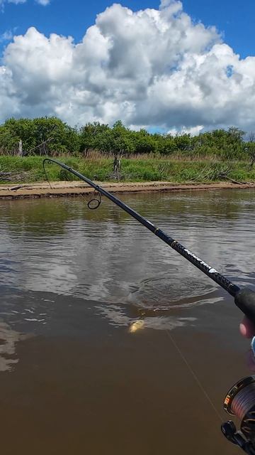 КРАСИВЕЙШАЯ рыба Дальнего Востока 🎣🔥