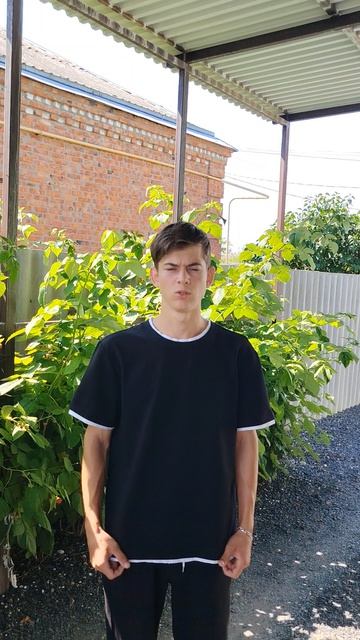 Ракшин Сергей, 16 лет. Н. М. Рубцов «Березы»