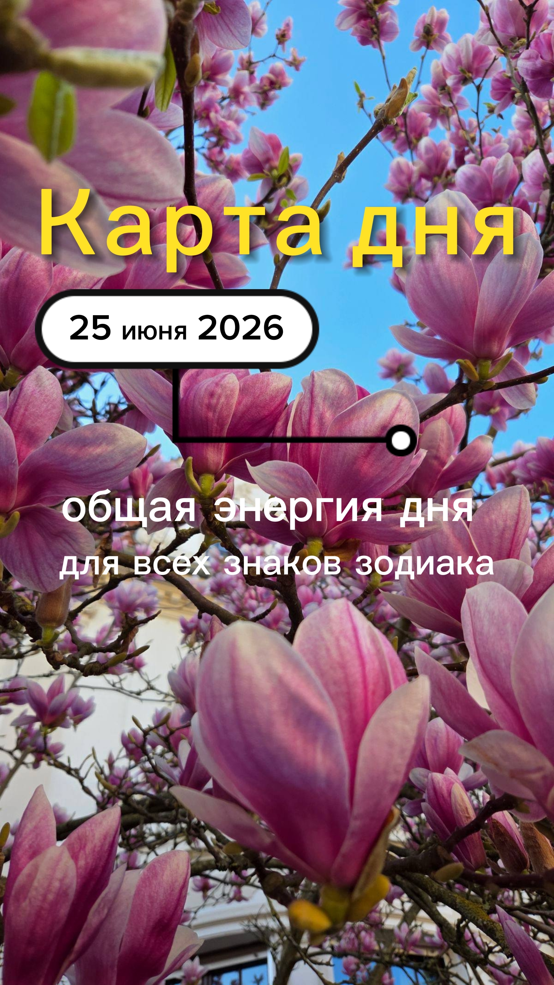 📯Страшный суд📯. Карта общего фона на 25-06-2026. Четверг