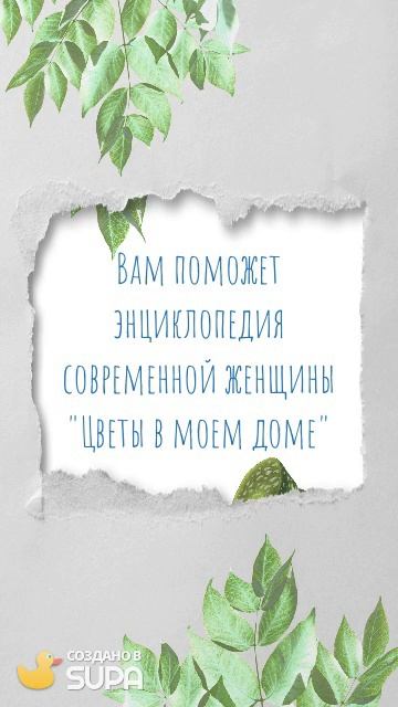 Читай!