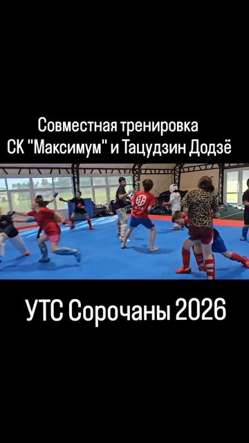 УТС Сорочаны 2026 Кумитэ