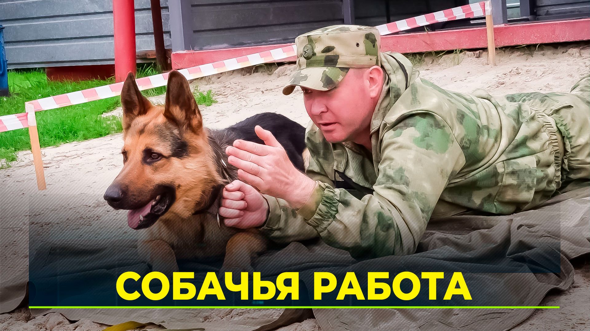 В Тюмени стартовал чемпионат Уральского округа Росгвардии по многоборью кинологов