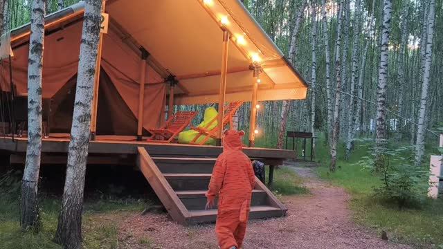 Глэмпинг Сафари-тент, Лосиный остров 🦌 20-22.06.2026