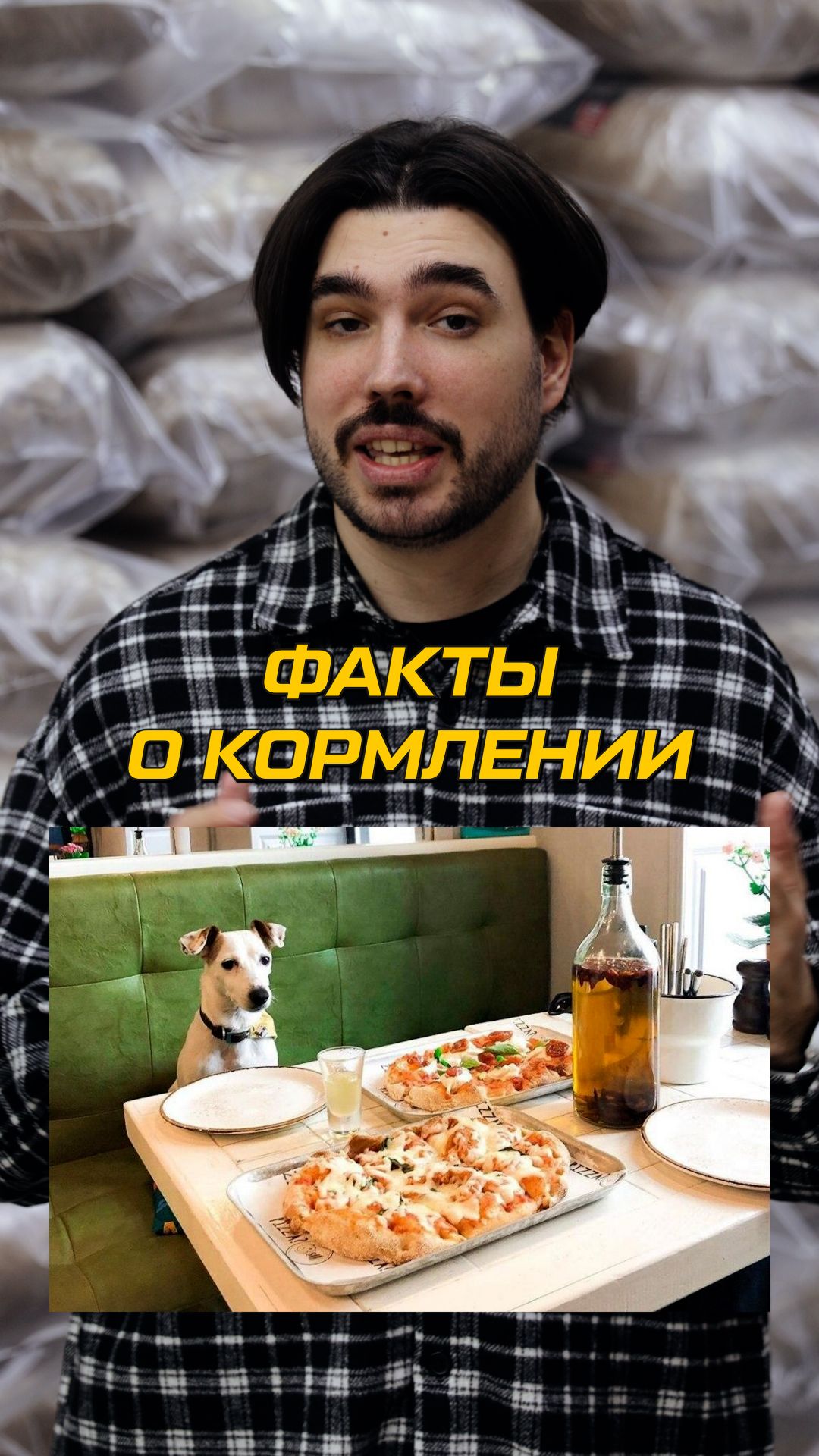 Библиотека знаний