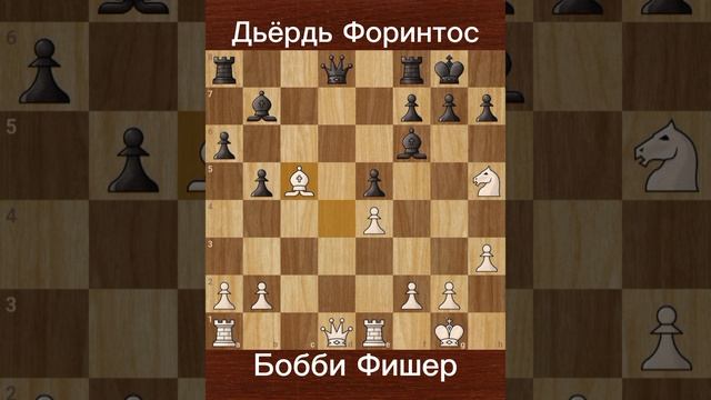 Фишер против Форинтоша (1967) | Одна ошибка — и всё рухнуло