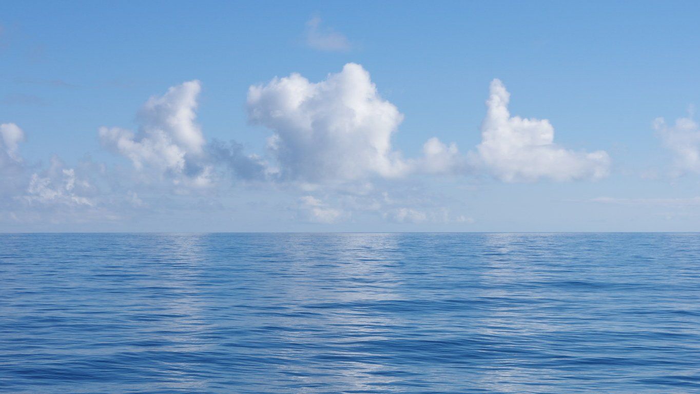 Океан. Сергей Чекалин. Ocean. Sergei Chekalin.