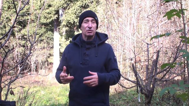 Болезнь Паркинсона.  Оздоровительная гимнастика. Школа бега доктора Попова.