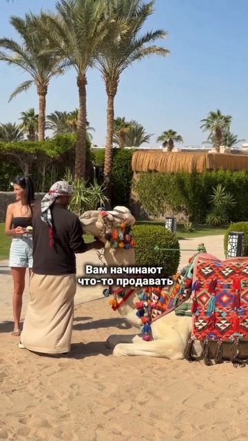 А вы были готовы к этому в Египте?!