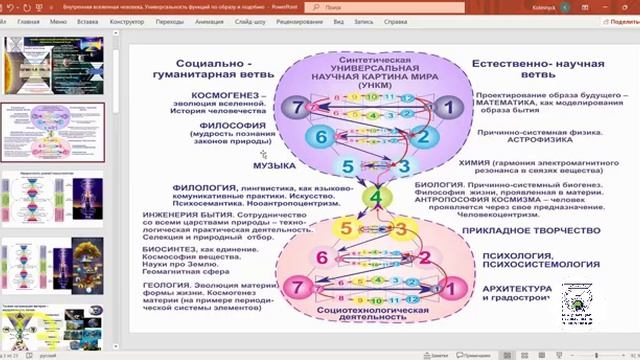 Внутренняя вселенная человека Универсальность функций по образу и подобию