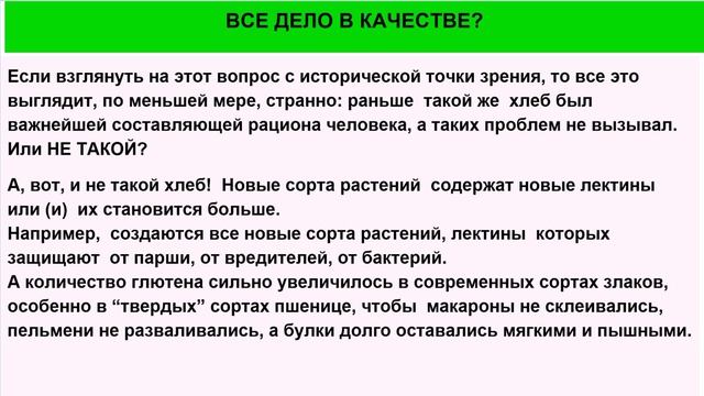 Основы здоровой жизни