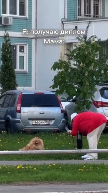 Ты с дипломом стоишь у вуза