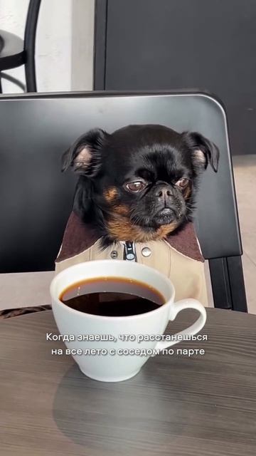 Ни списать, ни похихикать 😥