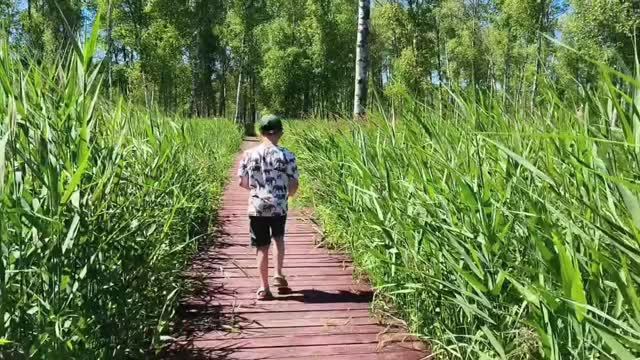 Заповедный лес, Лосиный остров 🦌 21.06.2026