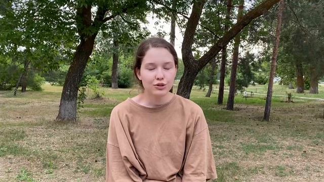 Языковые лагеря