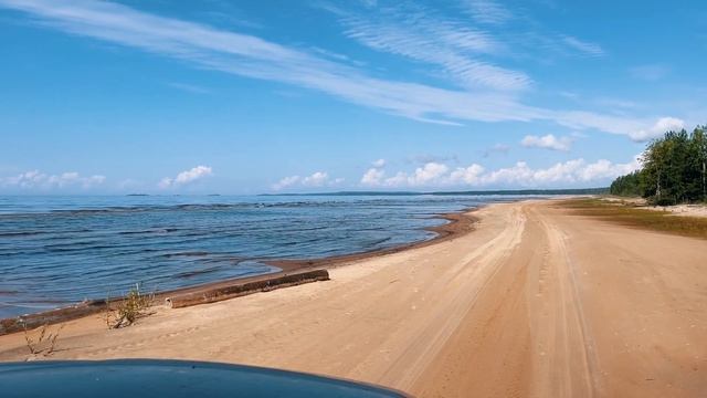 Шальский, дорога вдоль берега Онежского озера и реки Водла, 12.08.2025