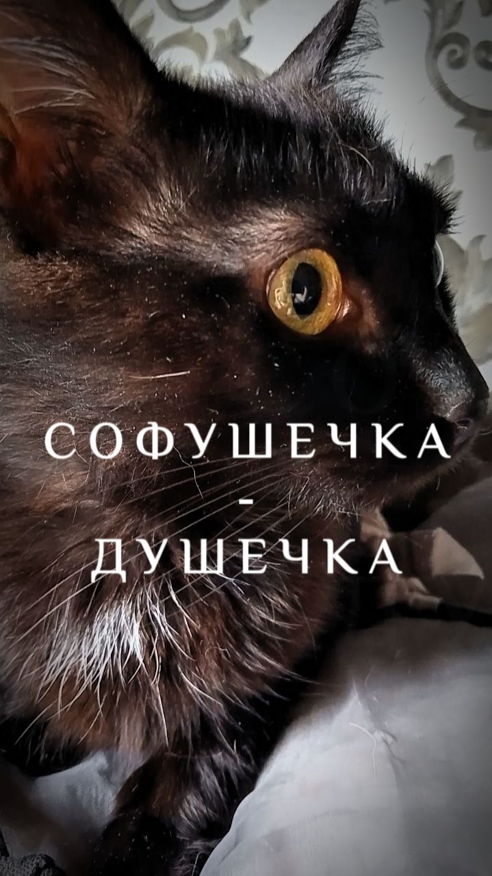 Аксинья и Софи