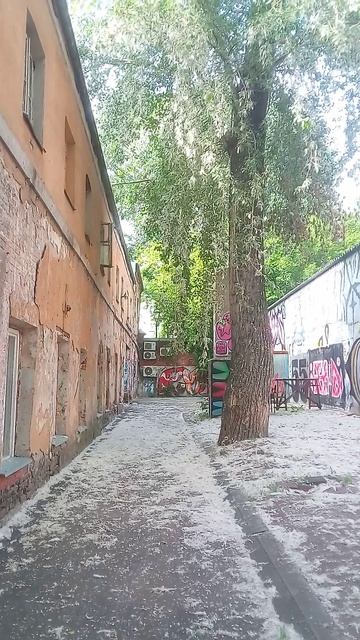Дворик МСХ