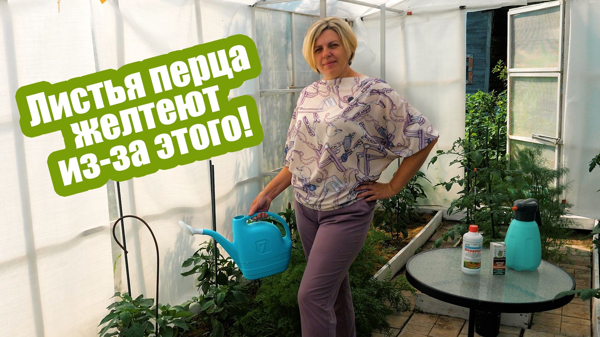 Вот почему желтеют листья перца!