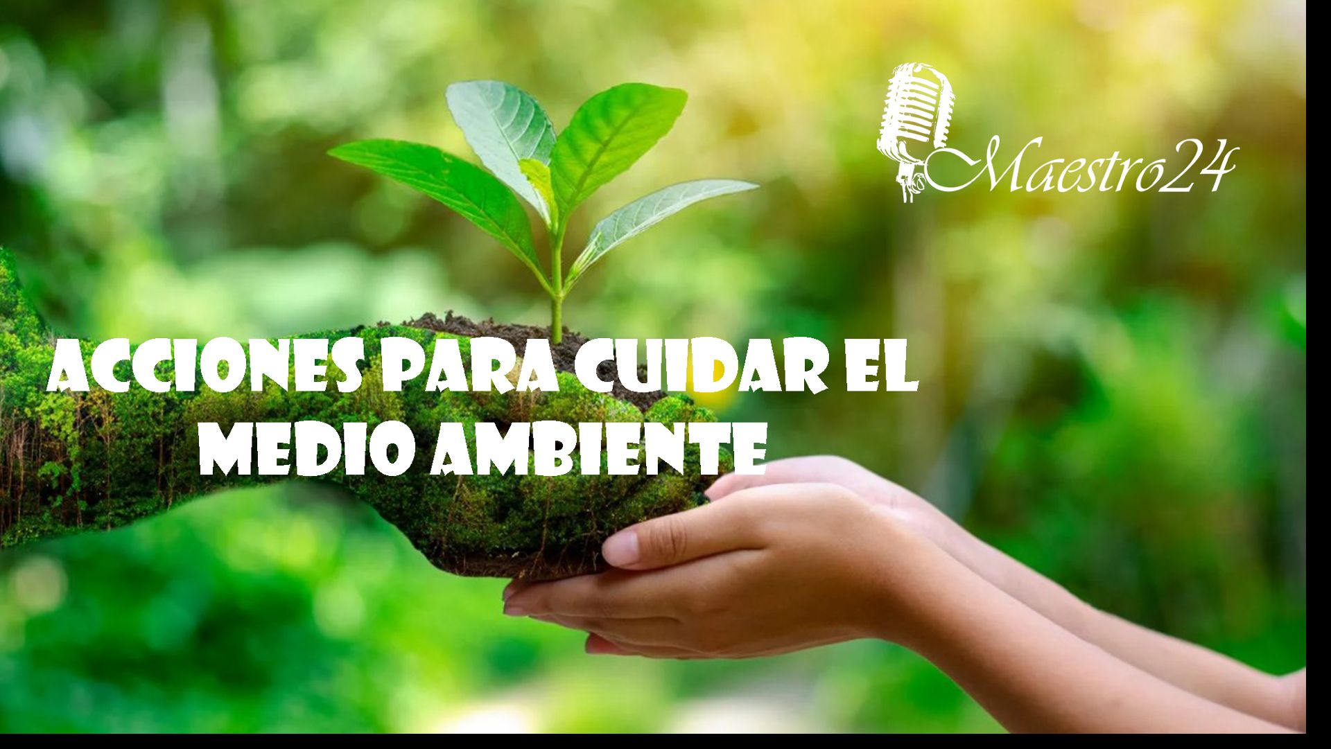 Acciones para cuidar el medio ambiente