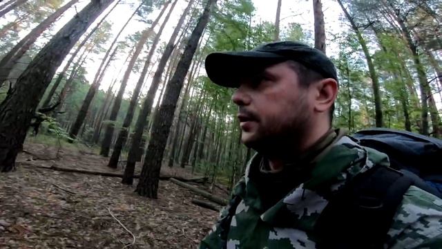 #ЗОНА2020 Звериными тропами Часть 1