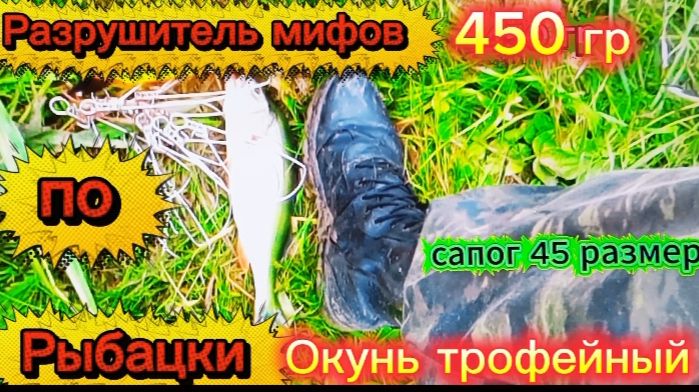 ПРОВЕРКА МИФА ЧТО ОКУНЬ В ДОЖДЬ КЛЮЁТ ЛУЧШЕ. РЫБАЛКА НА СПИНИНГ НА ОКУНЯ 23 ИЮНЯ 2026 ФИЛЬМ В 4К