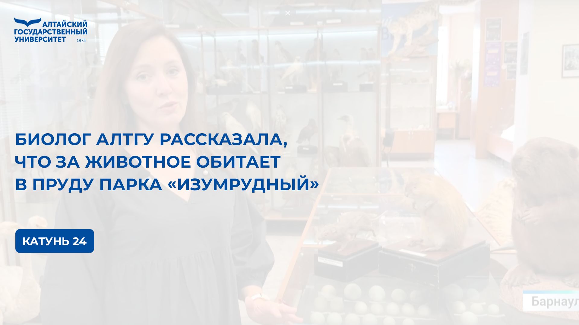 Биолог АлтГУ рассказала, что за животное обитает в пруду парка «Изумрудный» | Катунь 24