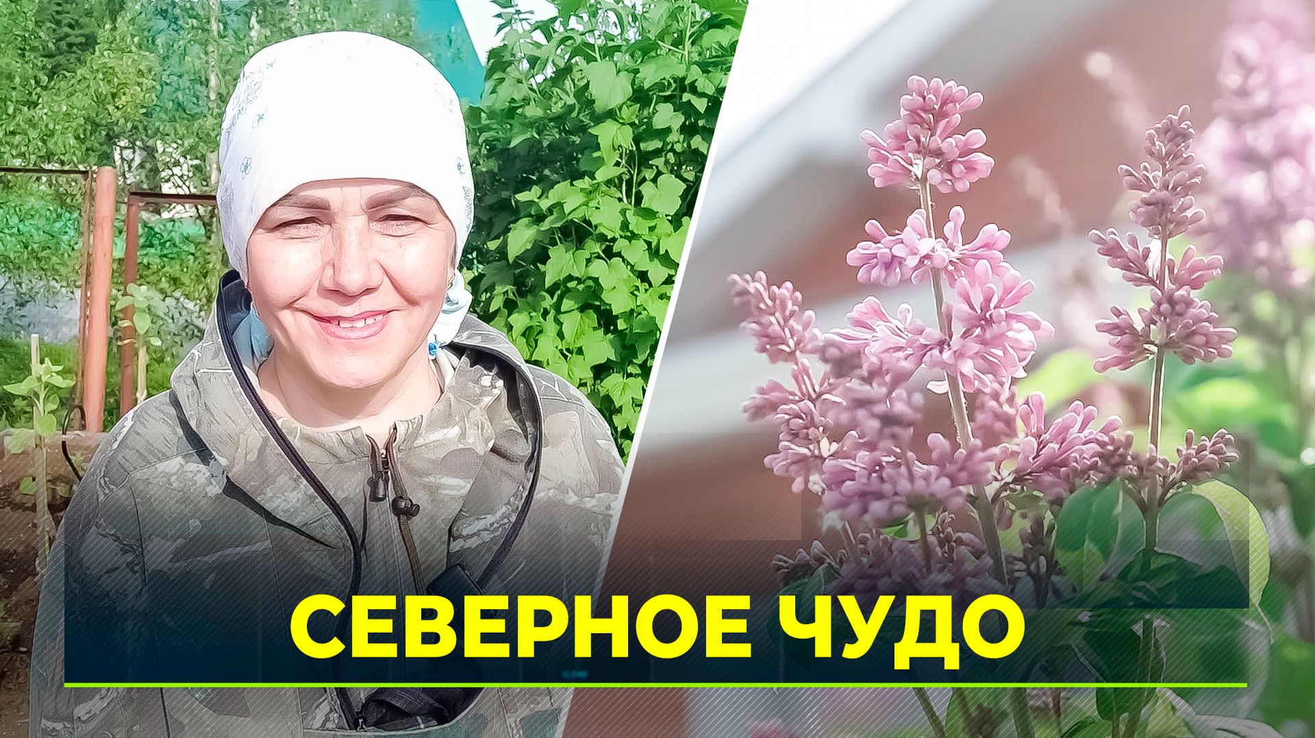 Арбузы и сирень за Полярным кругом: секрет северного лета