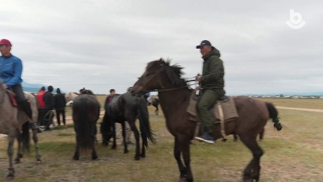 Нютагай hонинуудhаа. Хурамхаанай Сурхарбаан