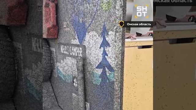 Нашествие комаров в Омской области
