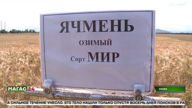 Аграрии Ингушетии собрались на полевой семинар в Сунженском районе