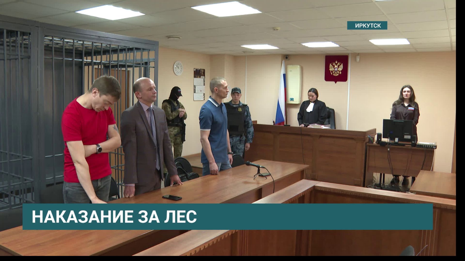 В Иркутске вынесли приговор за контрабанду леса на 1,4 млрд рублей