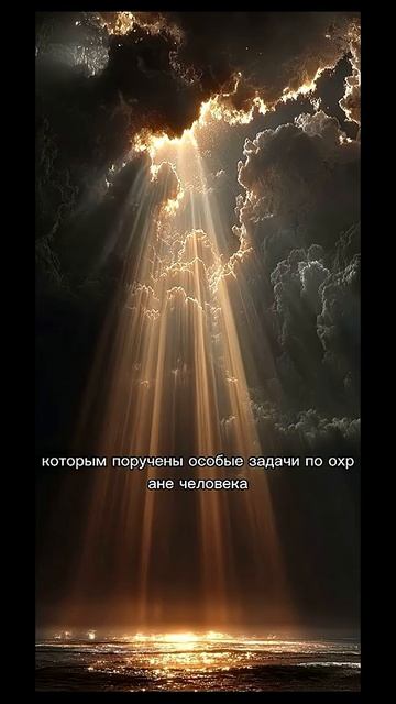 20 ангелов сопровождают тебя каждый день#ангелы #ислам #мусульмане #иман #вера  #коран #сунна