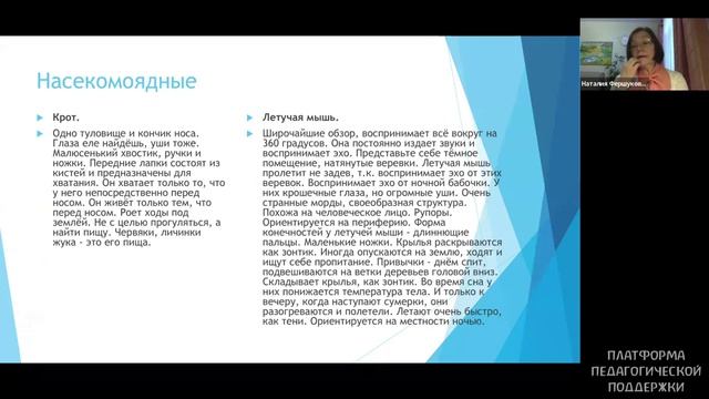 Пятый класс. Занятие 16