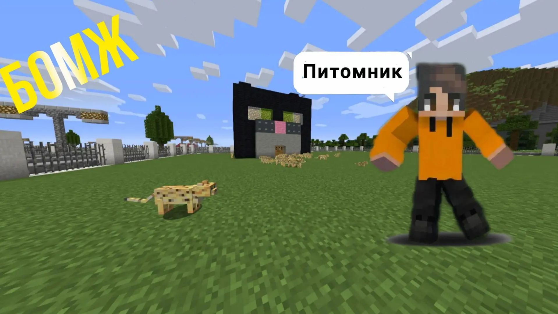 БОМЖ!ВЫЖИВАНИЕ БОМЖА!ПИТОМНИК для КОШЕК В Реальной Жизни Видео Троллинг!#9
