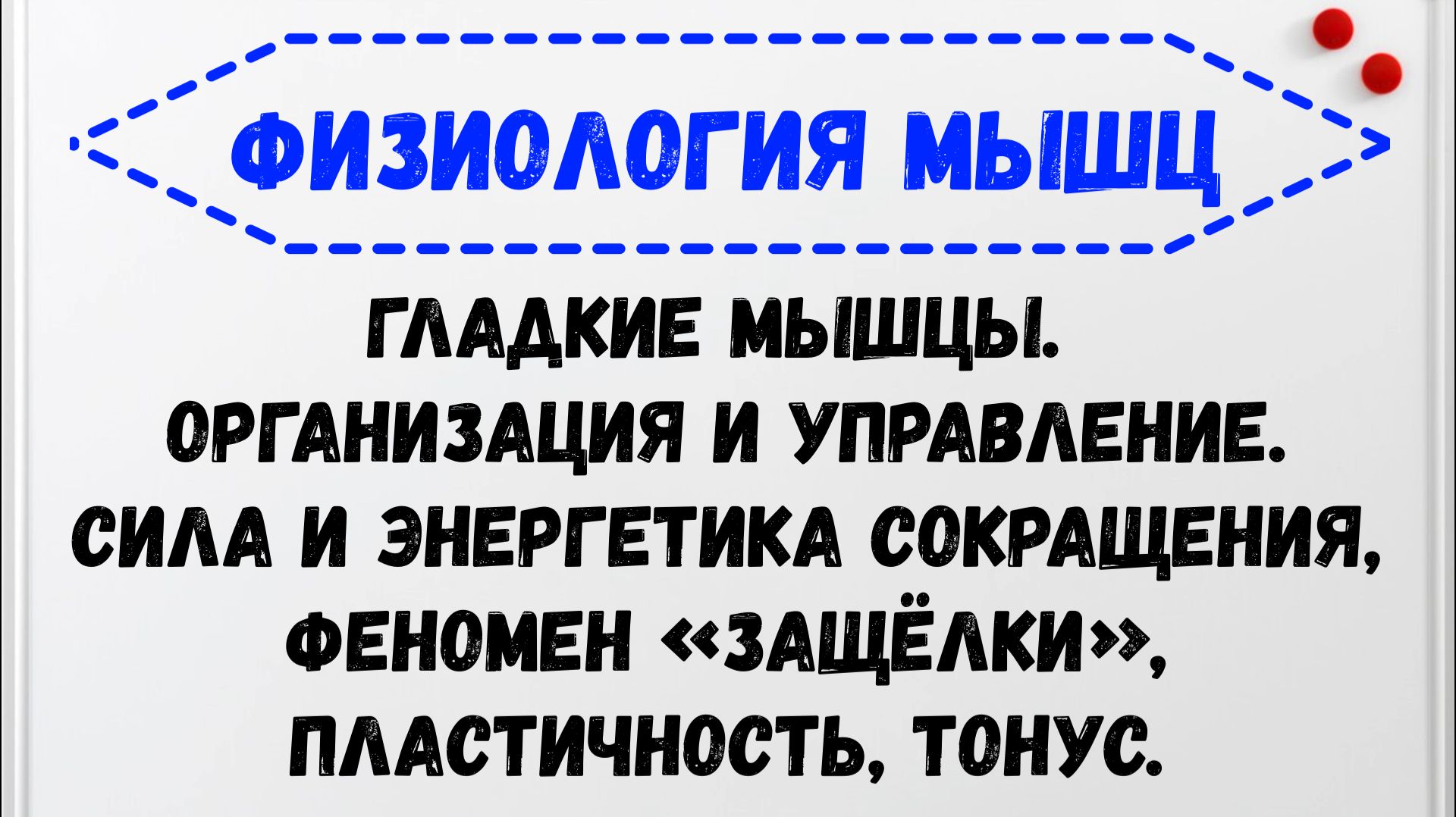 Физиология гладких мышц. Управление. Сила,энергетика сокращения,феномен «защёлки»,пластичность,тонус