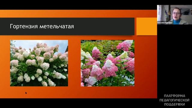 Пятый класс. Занятие 2