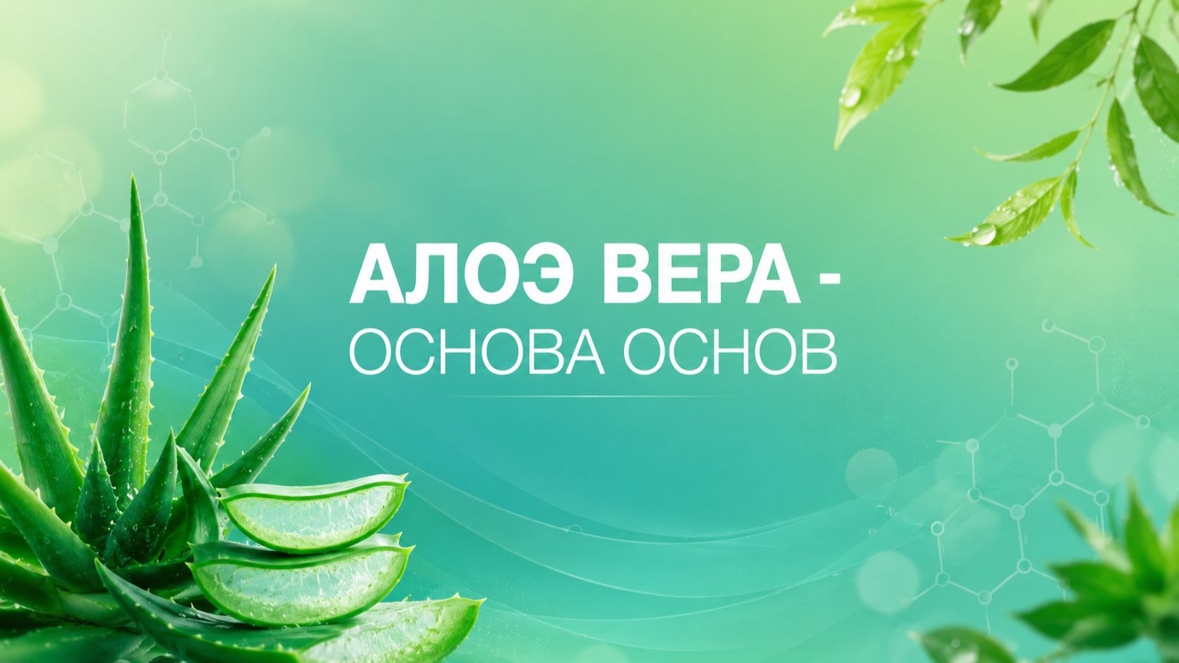 Алоэ вера - основа основ продукции Компании LR, проф. В.А. Дадали
