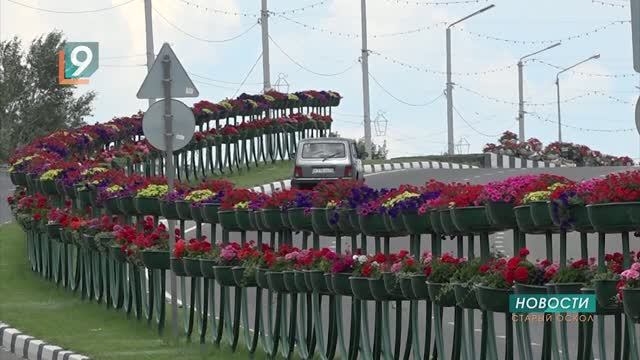 Новости Старого Оскола от 25 июня