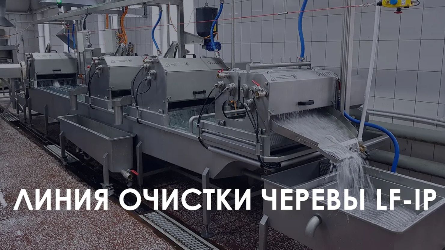 Как очищают кишечное сырье на современных производствах? Линия очистки черевы LF-IP