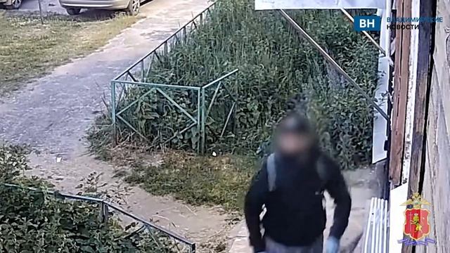 25-летний житель Вологодской области получил штраф за  размещение наркорекламы в Коврове