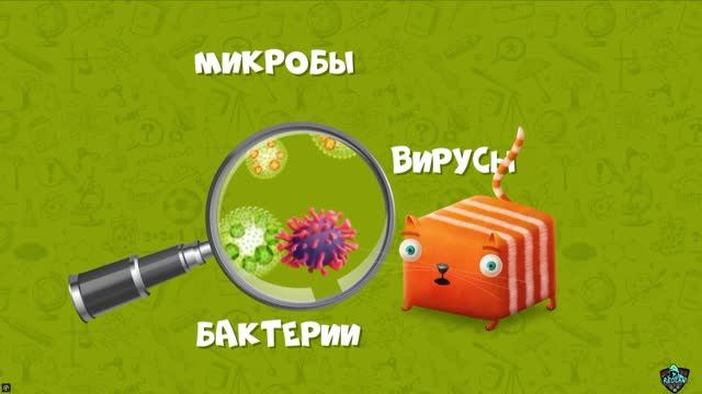 КубоКот в Школу без Забот про Гигиену