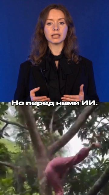 ЖЕСТКОЕ ПРИЗЕМЛЕНИЕ: девушка во время сбора урожая упала с дерева... или нет?