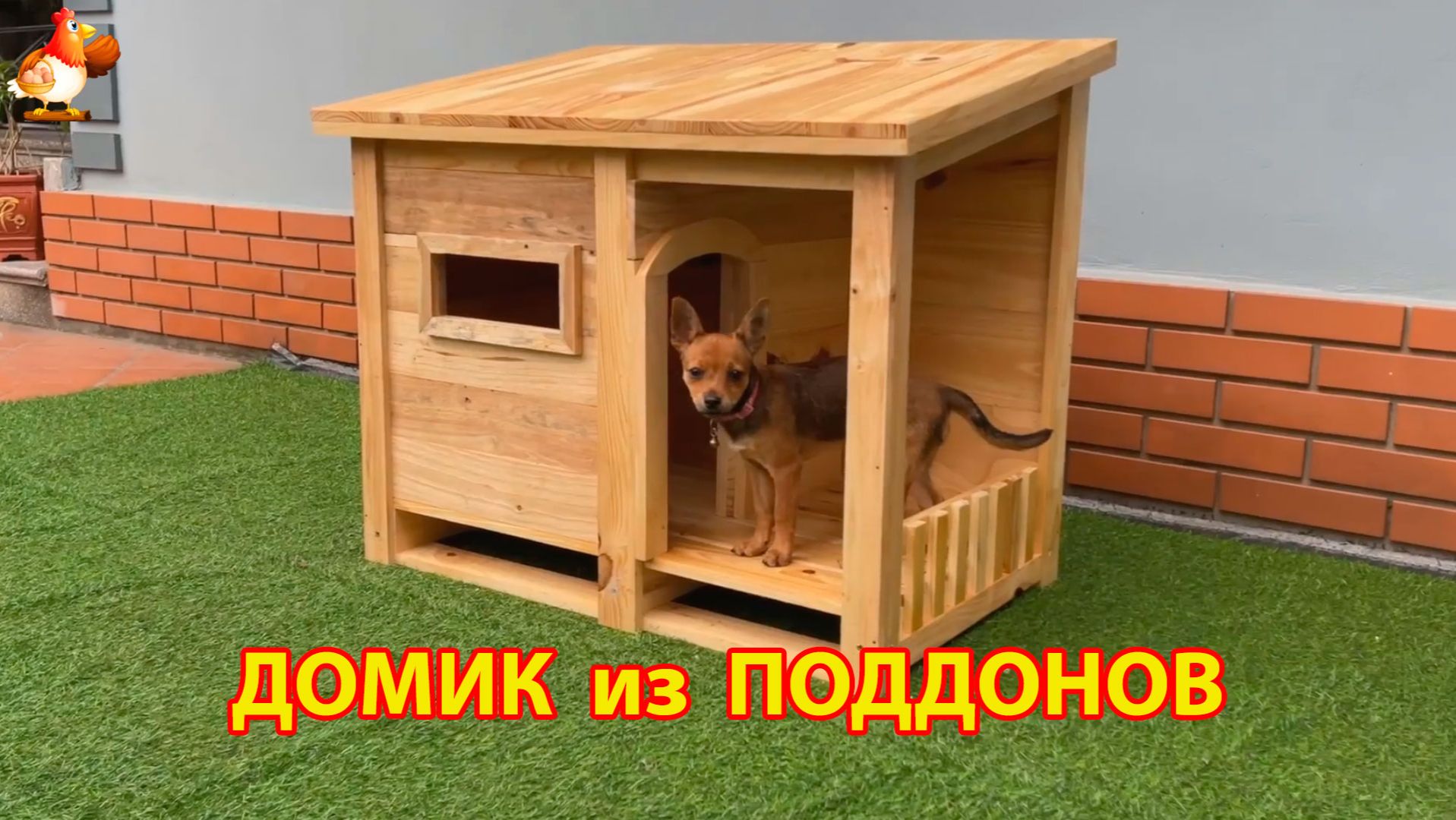 Как сделать будку для собаки из поддонов своими руками для дачи и сада