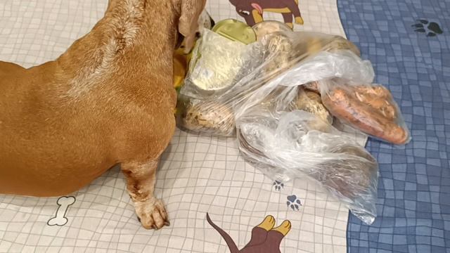 Домашний Роспотребнадзор проверяет качество продуктов