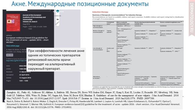 Телемосты и доклады