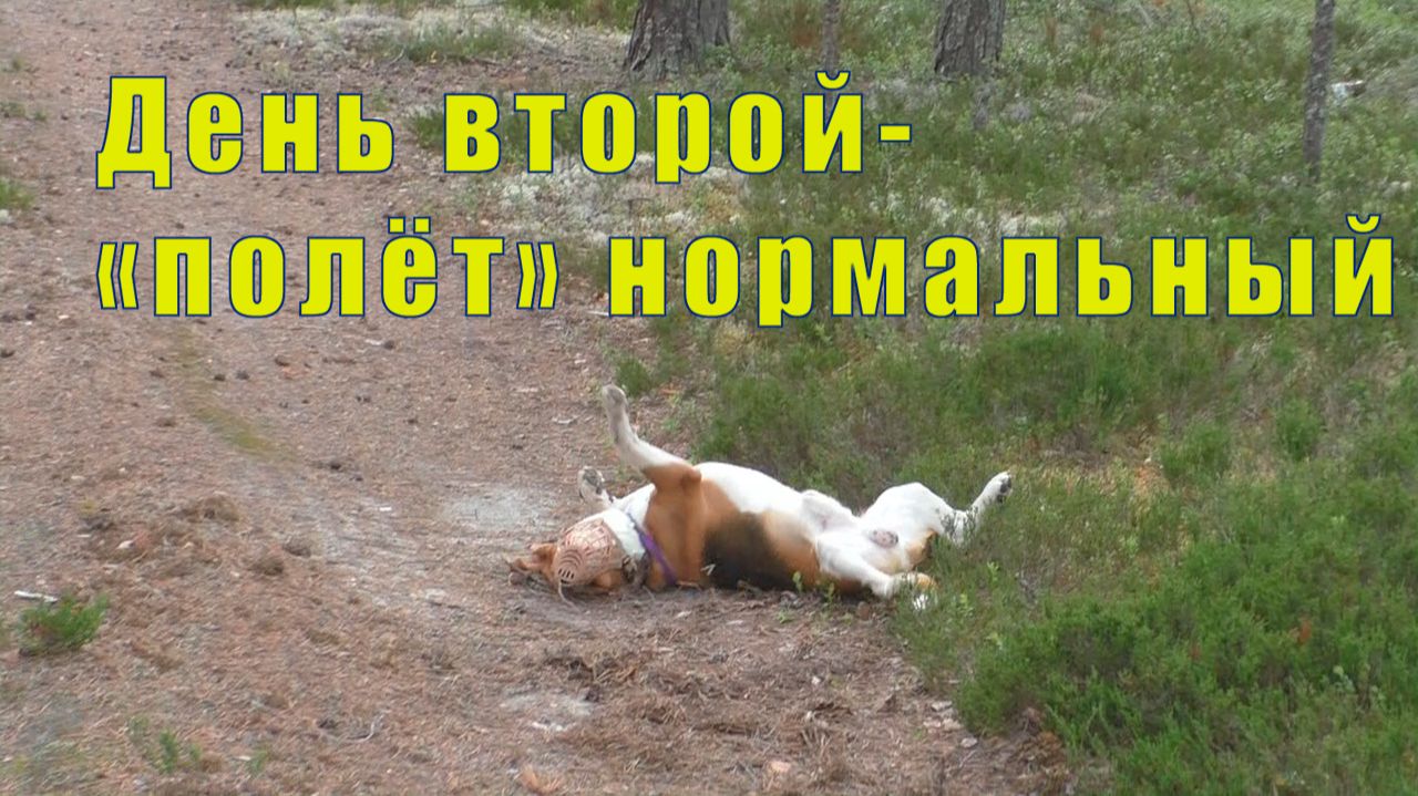 ВТОРОЙ ДЕНЬ ПУТИ В МУРМАНСК /15 июня 2026