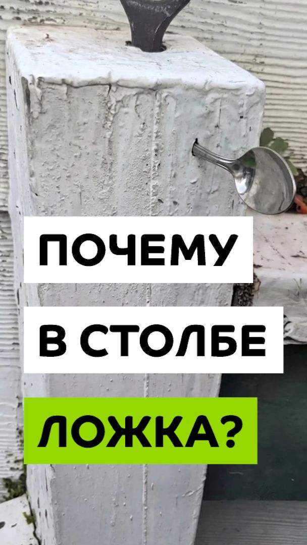 Скрытая плесень в доме.